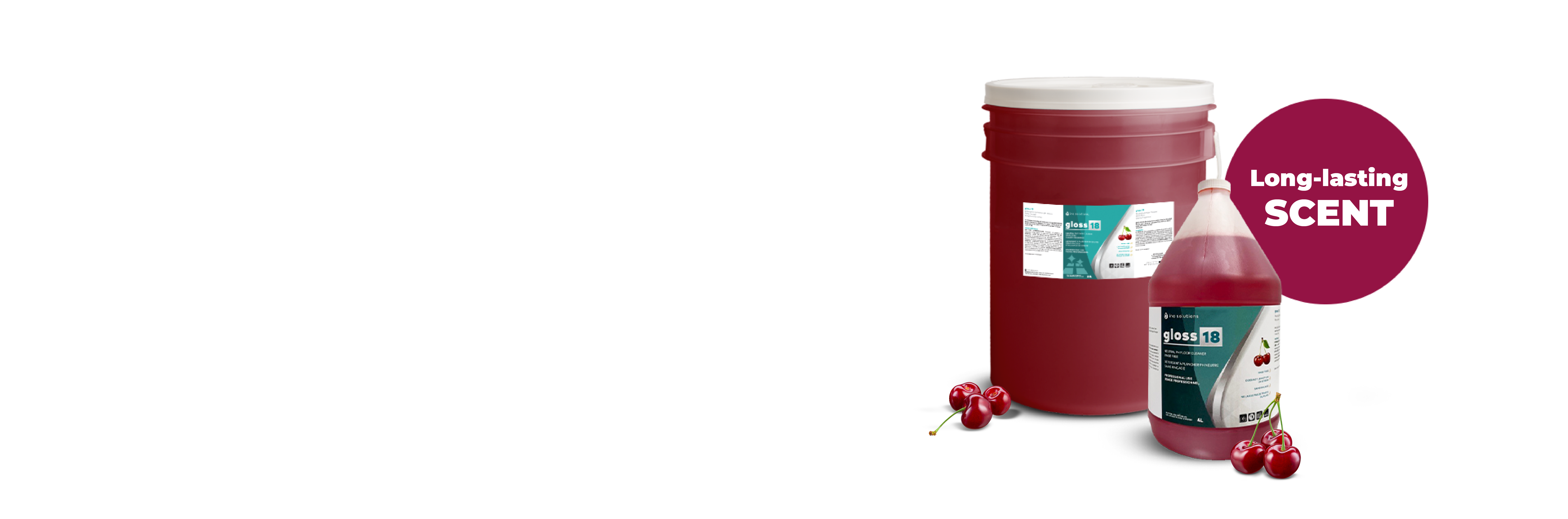 Cleaning and Disinfecting Products Distributor